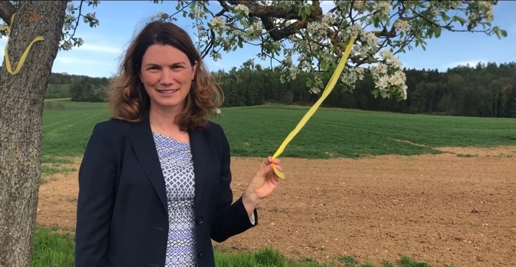 Das gelbe Band – Tanja Schweiger – Ihre Landrätin